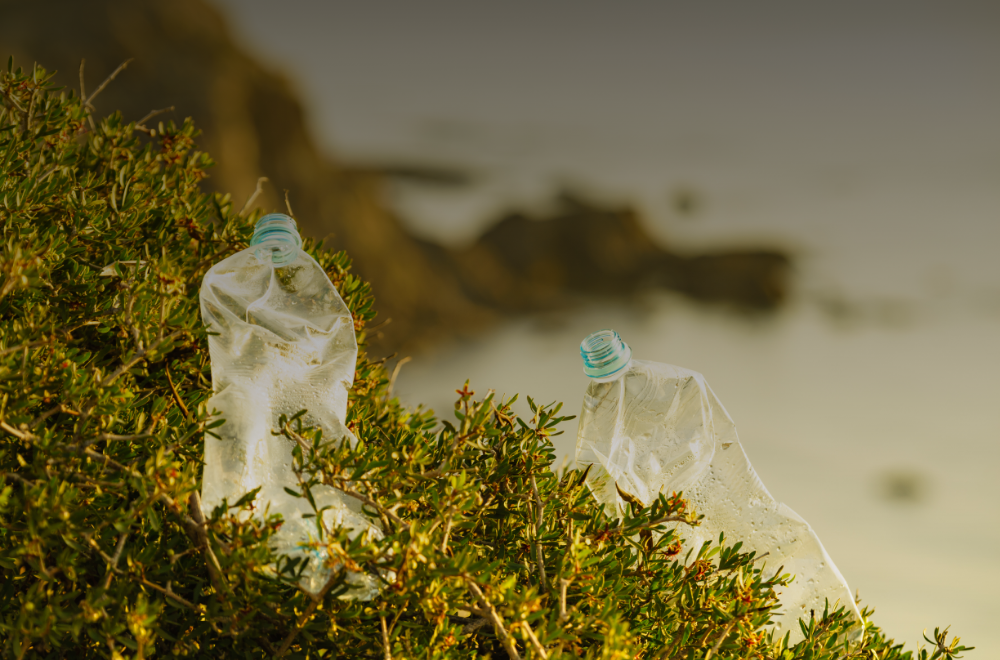 El reto de minimizar el impacto de los plásticos en el ecosistema | CEP